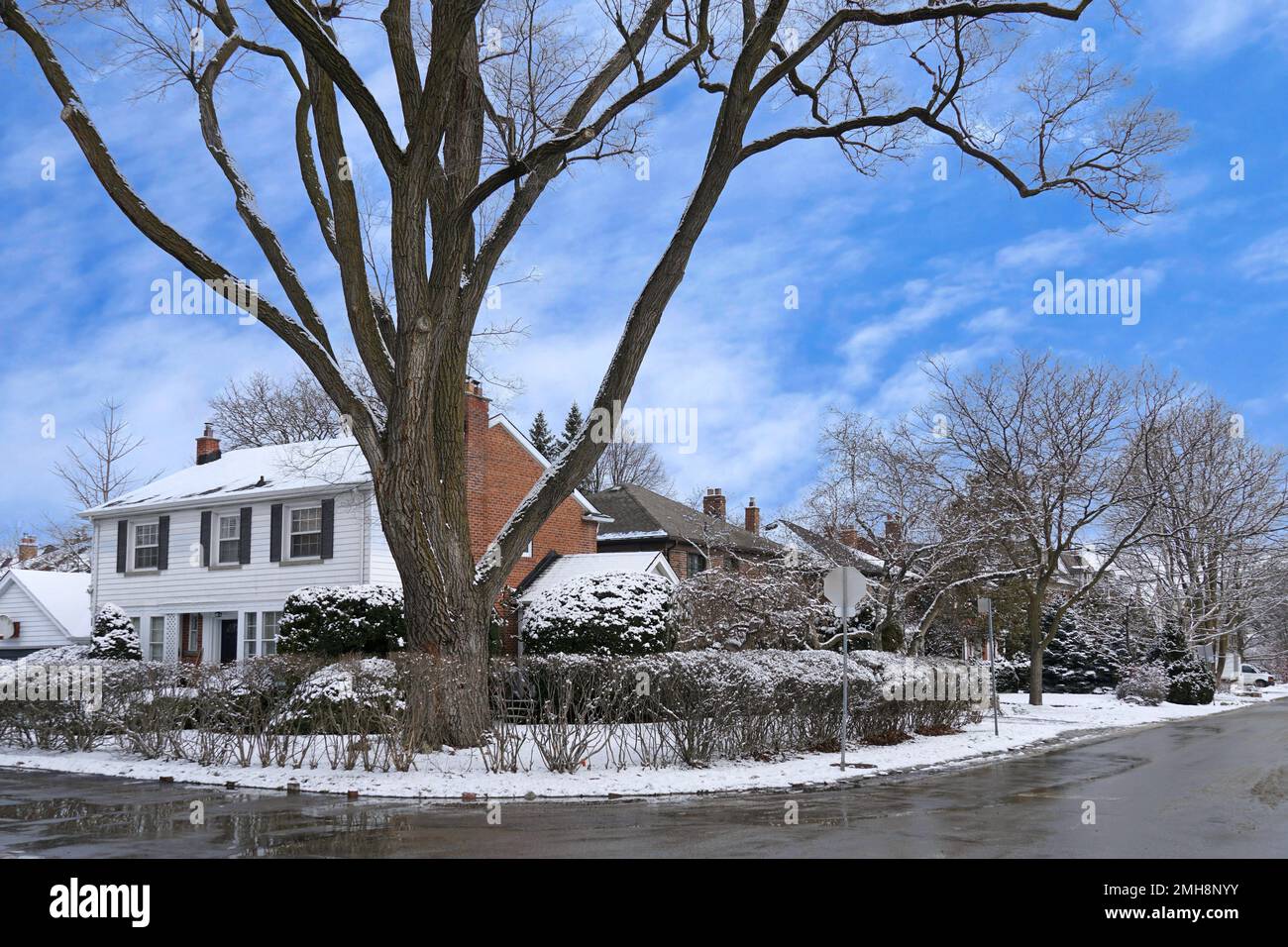 Wet tree lined street hi-res stock photography and images - Alamy