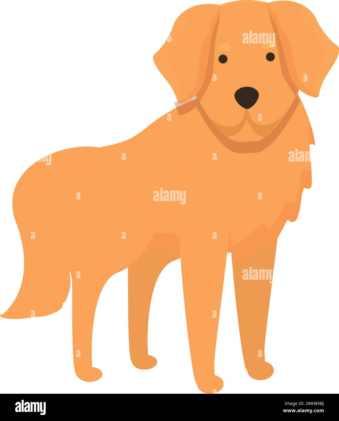 Golden retriever puppy jump Cut Out Stock Images & Pictures - Alamy