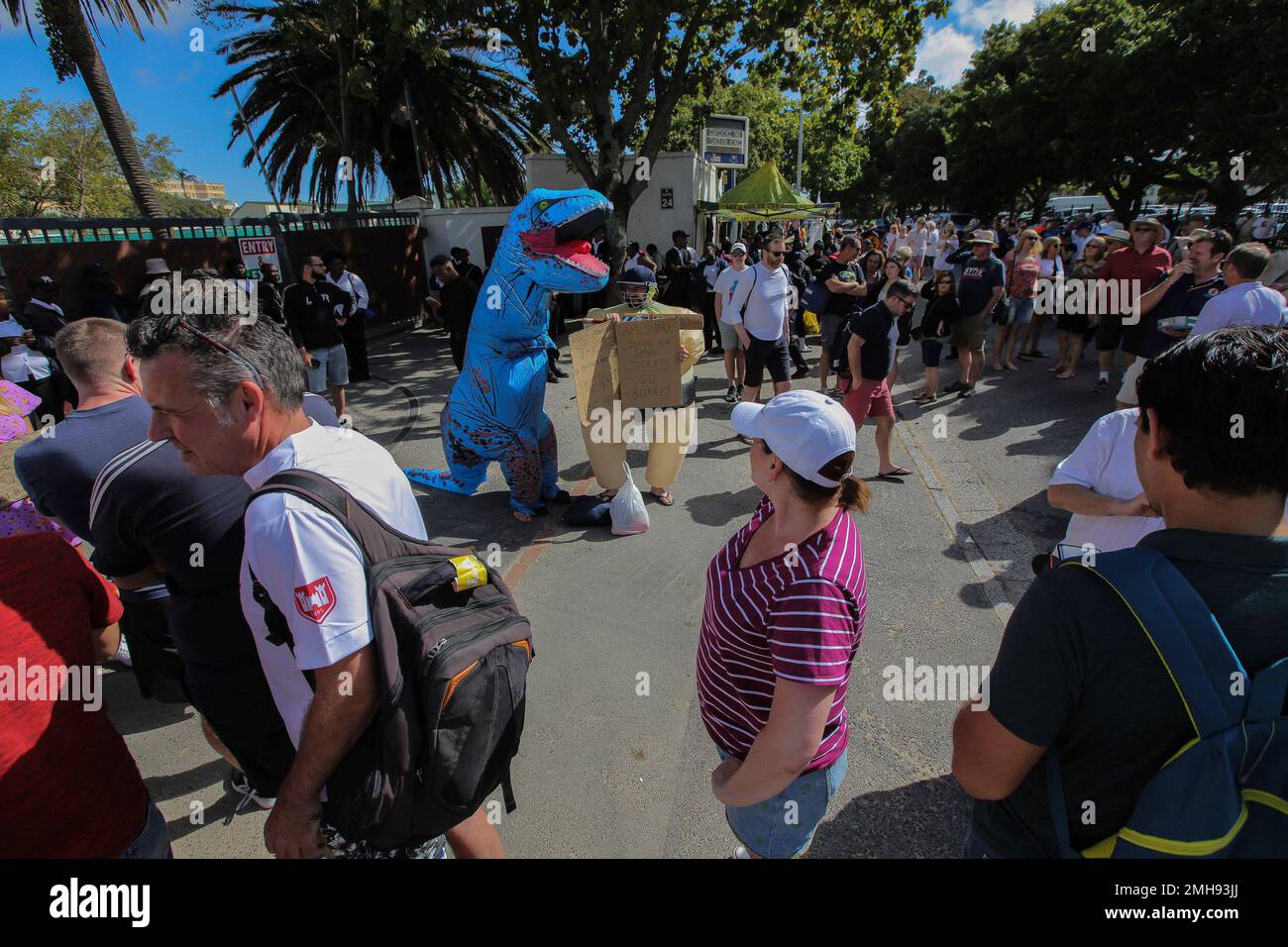 Cricket fans dressed as a T-Rex and Sumo warrior try to find spare ...
