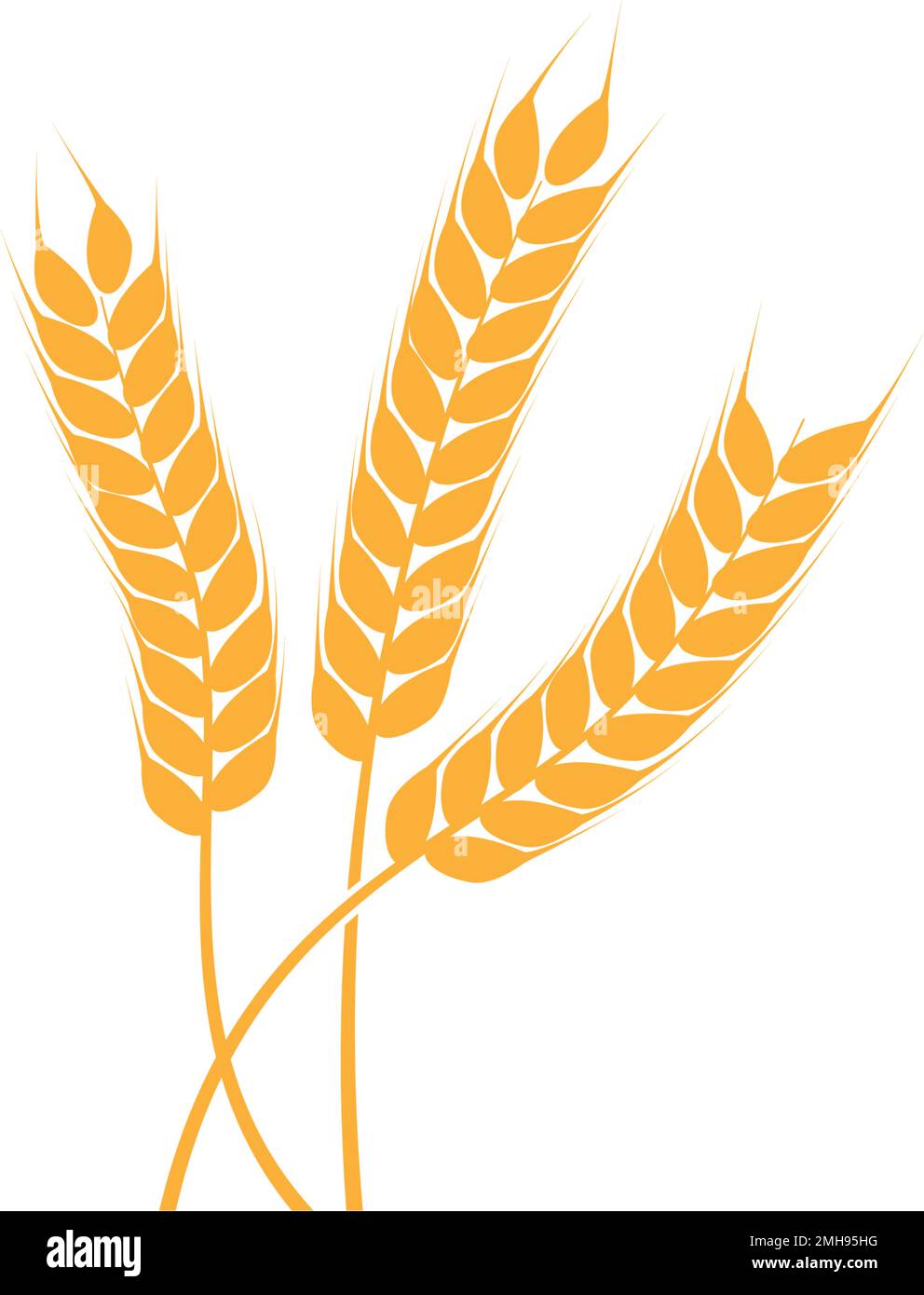 Agriculture wheat Logo Template vector icon design Stock Vector Image ...