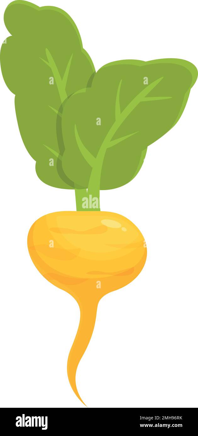 Farm food icon cartoon vector. Turnip vegetable. Diet plant Stock ...