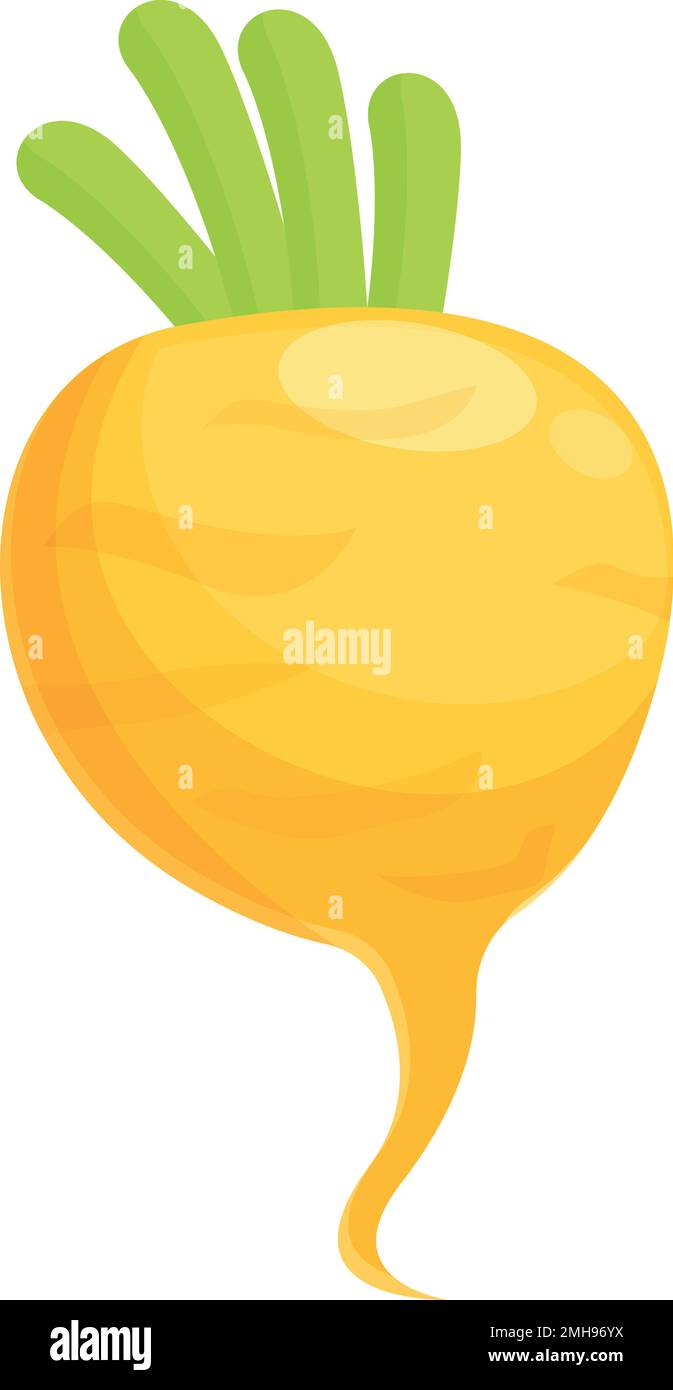 Organic turnip icon cartoon vector. Green root. Food farm Stock Vector ...
