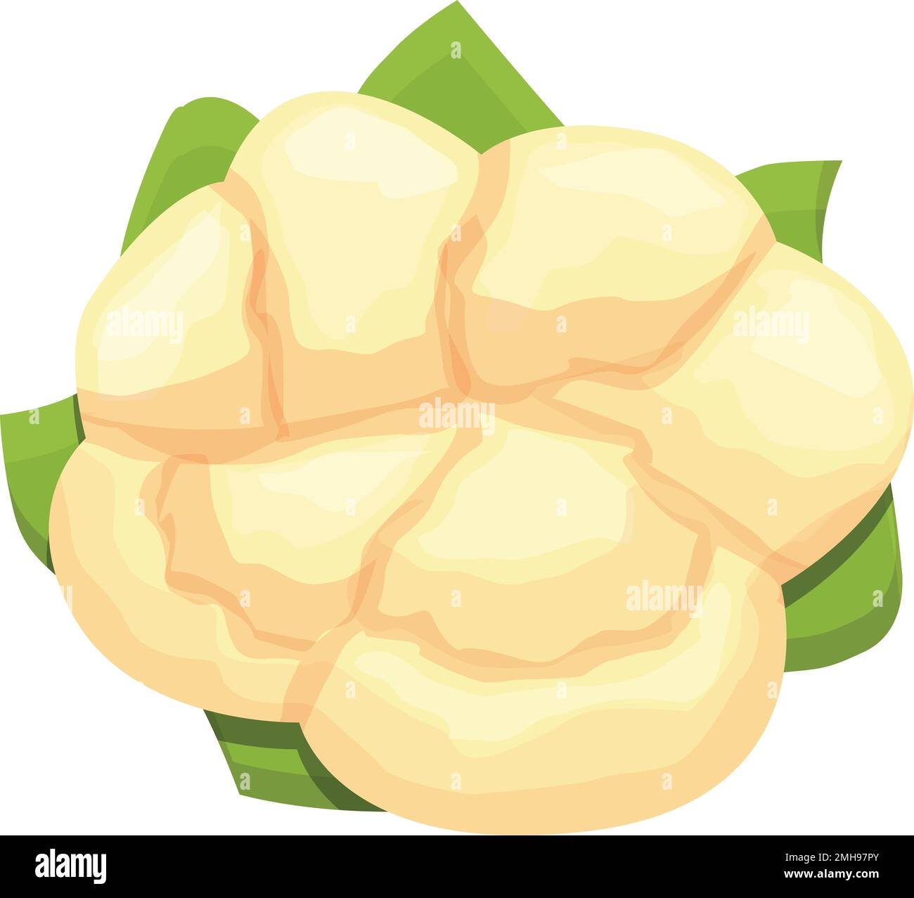 Brocoli cauliflower icon cartoon vector. Cabbage food. Organic farm ...