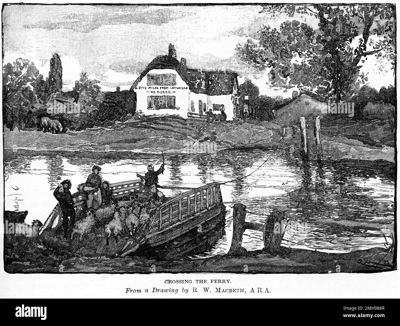 Shepherd flock 1880 hi-res stock photography and images - Alamy