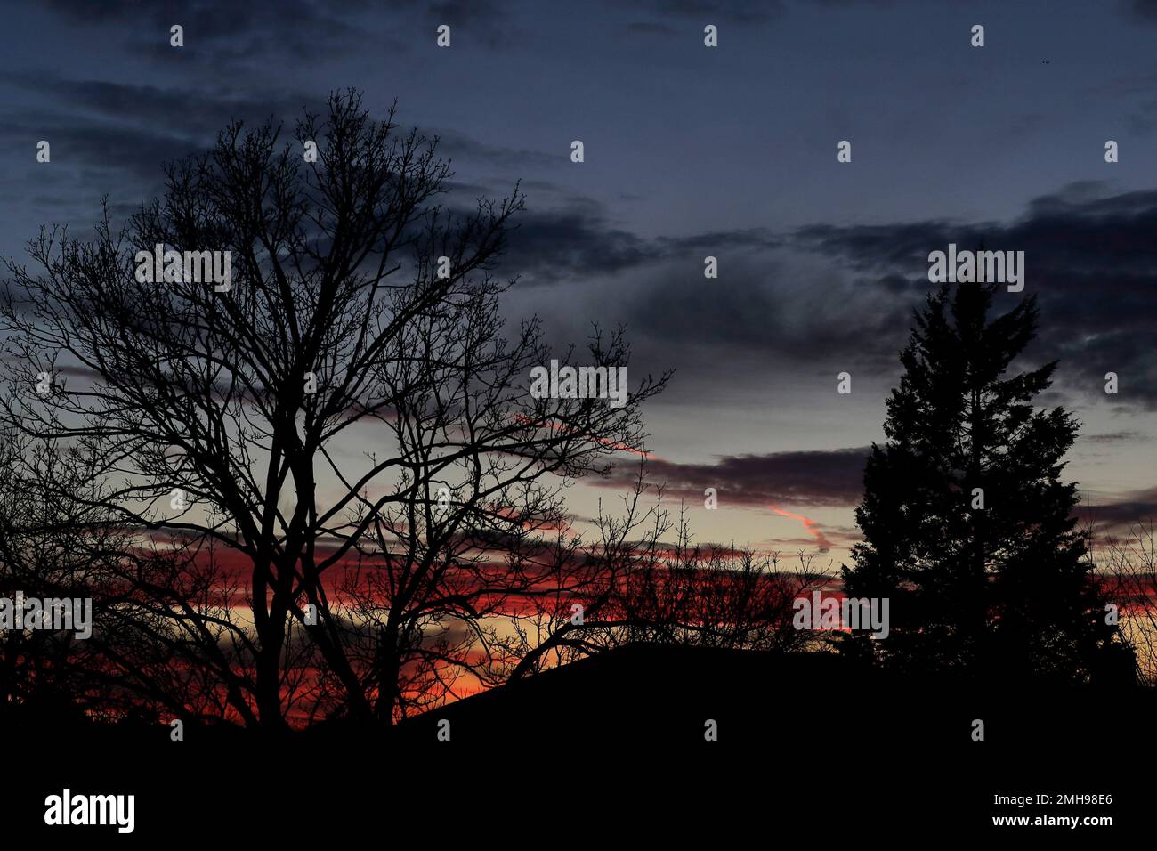 The new sunset of 2020 hangs over trees in Evanston, Ill., Wednesday ...