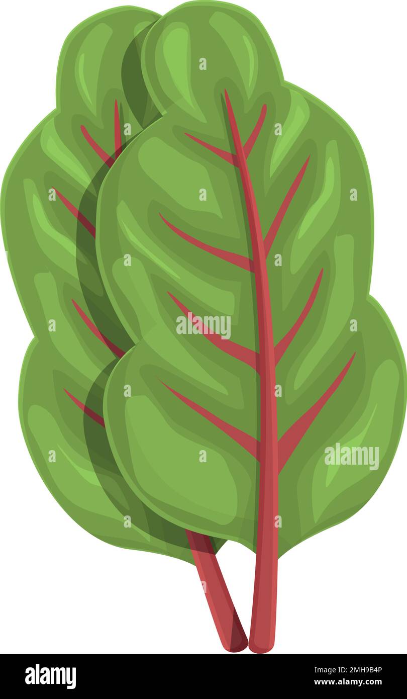 Leaf chard icon cartoon vector. Green plant. Swiss food Stock Vector ...