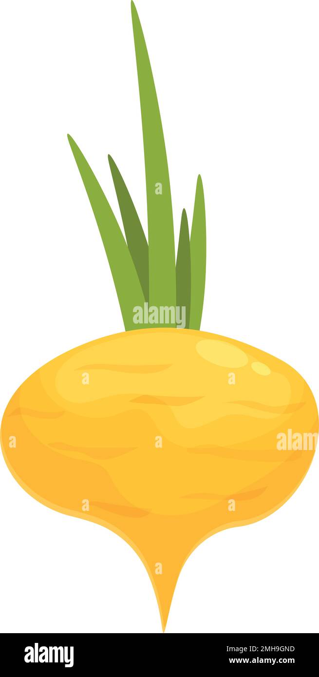 Root icon cartoon vector. Green vegetable. Food farm Stock Vector Image ...