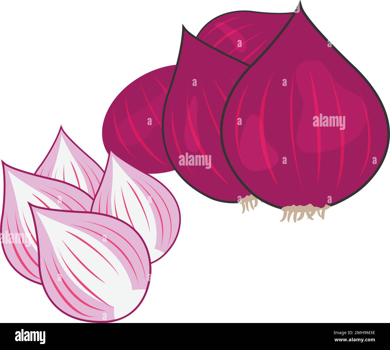 shallot logo stock illustration design Stock Vector Image & Art - Alamy