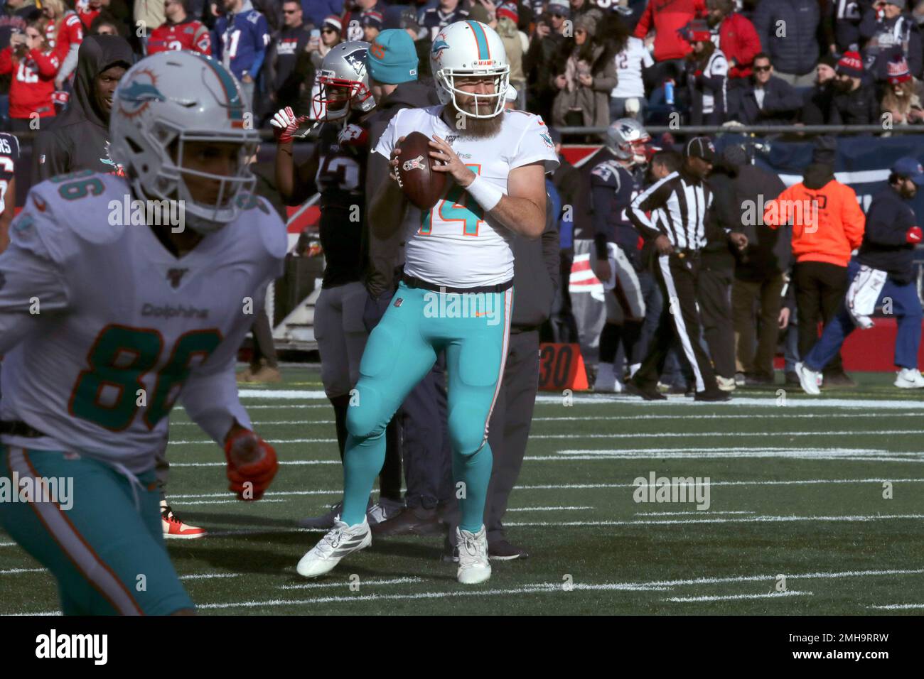 Miami Dolphins quarterback Ryan Fitzpatrick warms up before an NFL ...