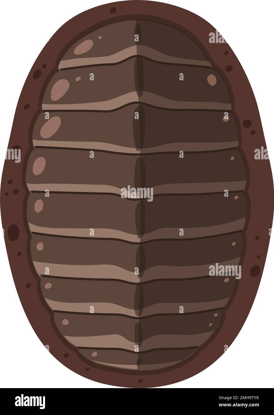 Isolated chiton sea shore animal illustration Stock Vector Image & Art ...