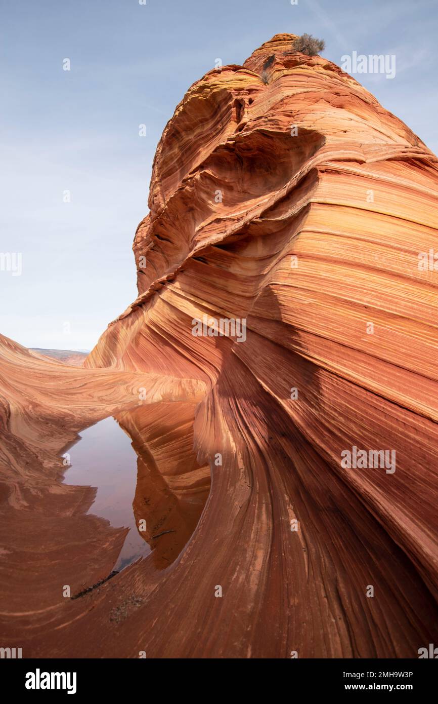 The Wave is a stunning geological formation in the Paria Canyon ...