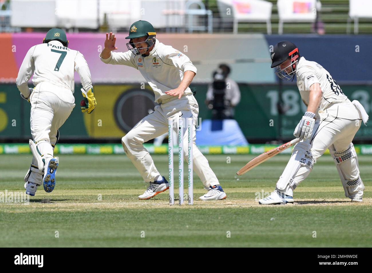 Australia's Tim Paine, left, celebrates with teammate Marnus ...