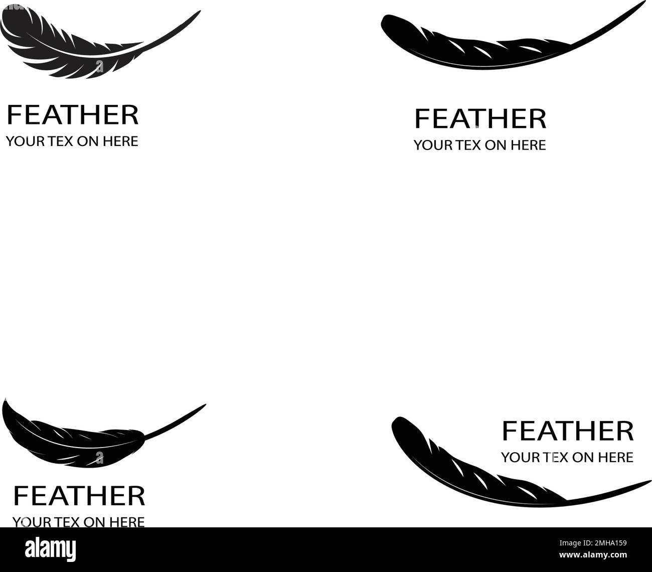 Feather ilustration logo vector template Stock Vector Image & Art - Alamy