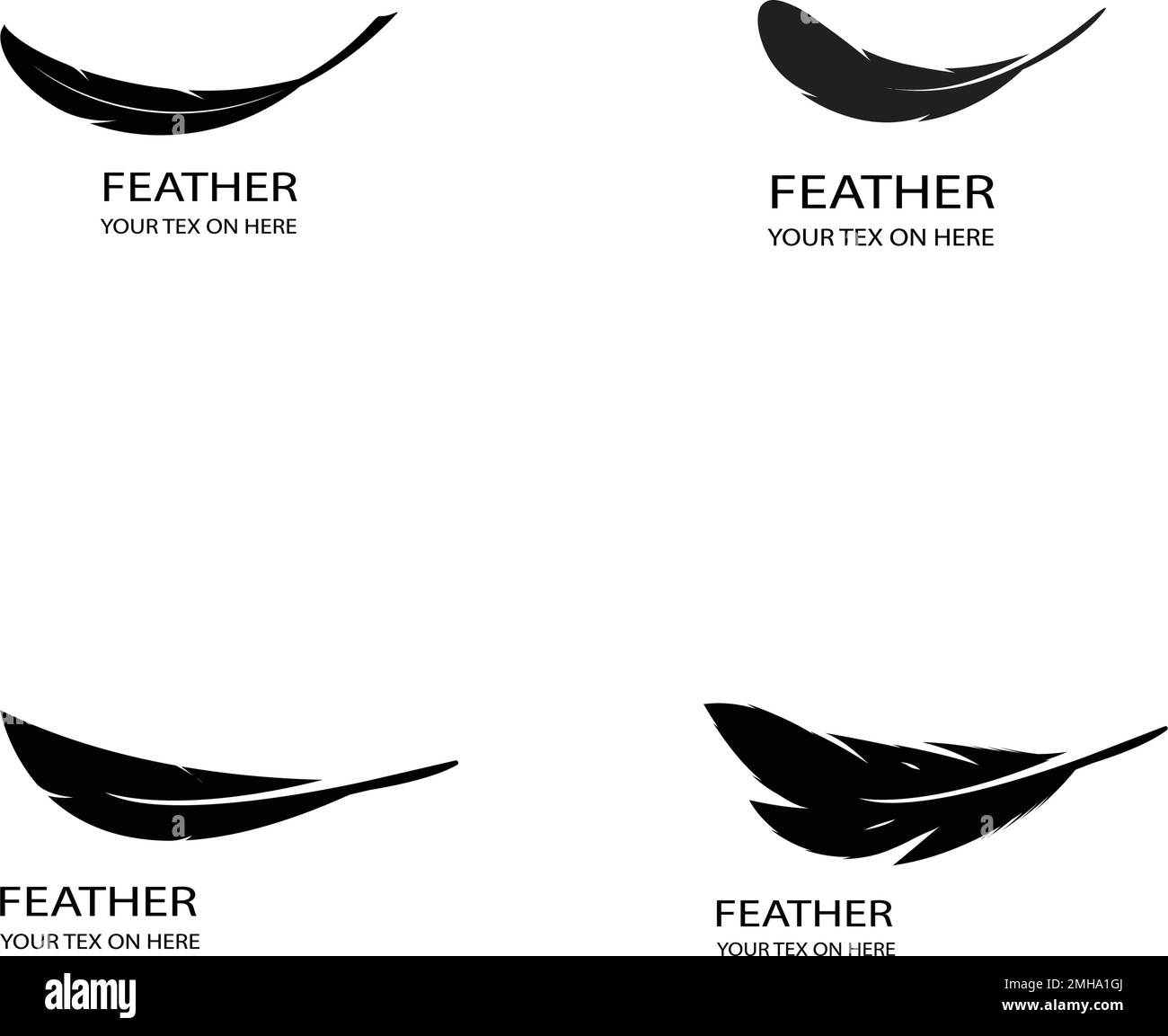 Feather ilustration logo vector template Stock Vector Image & Art - Alamy