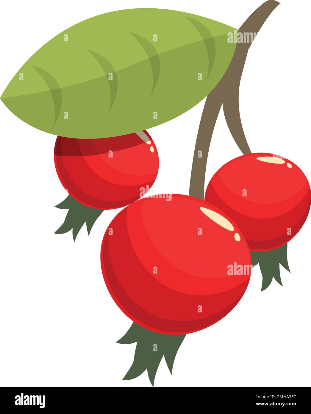 Red rosehip icon cartoon vector. Food berry. Vitamin ripe Stock Vector ...