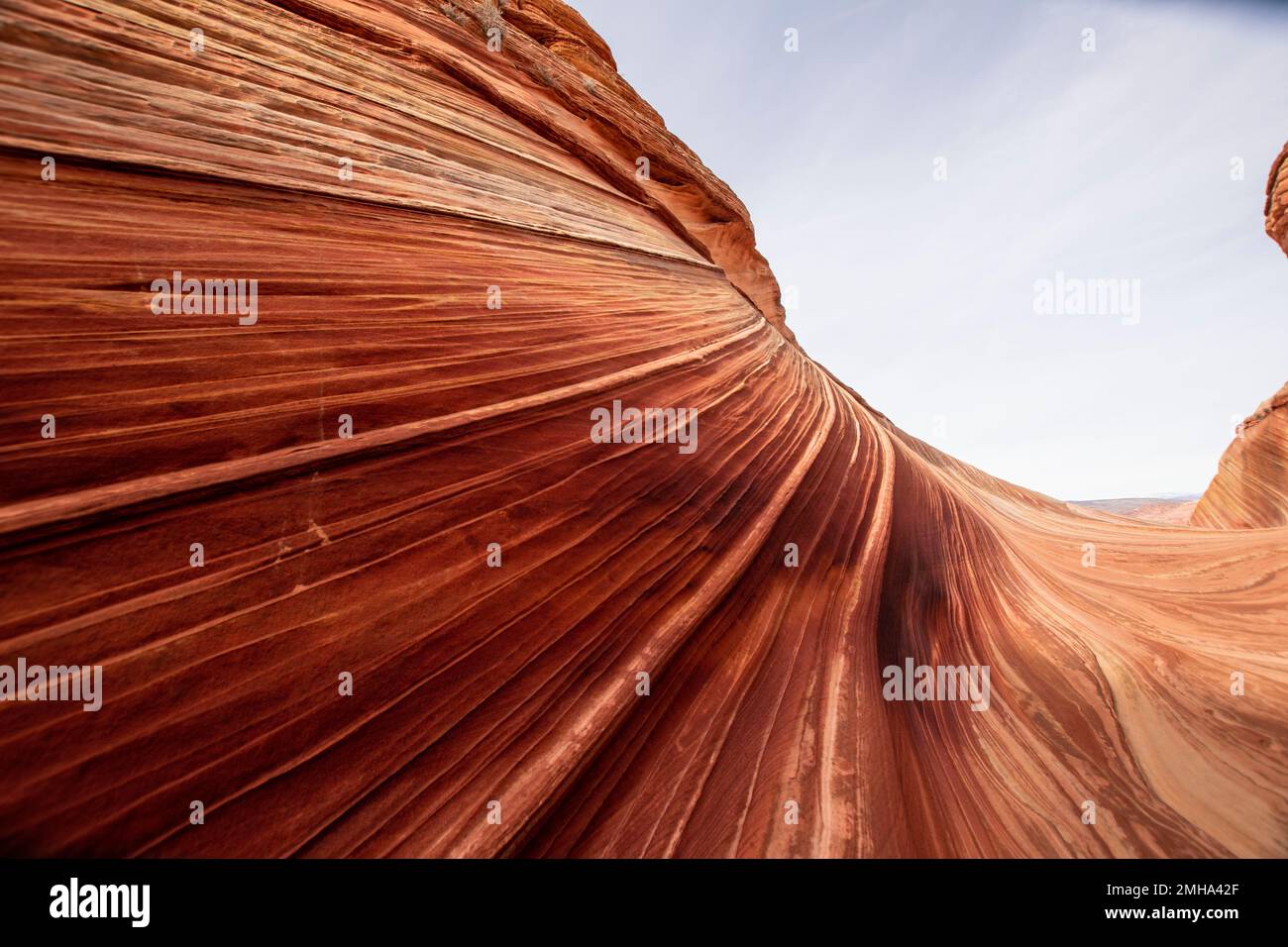 The Wave is a stunning geological formation in the Paria Canyon ...