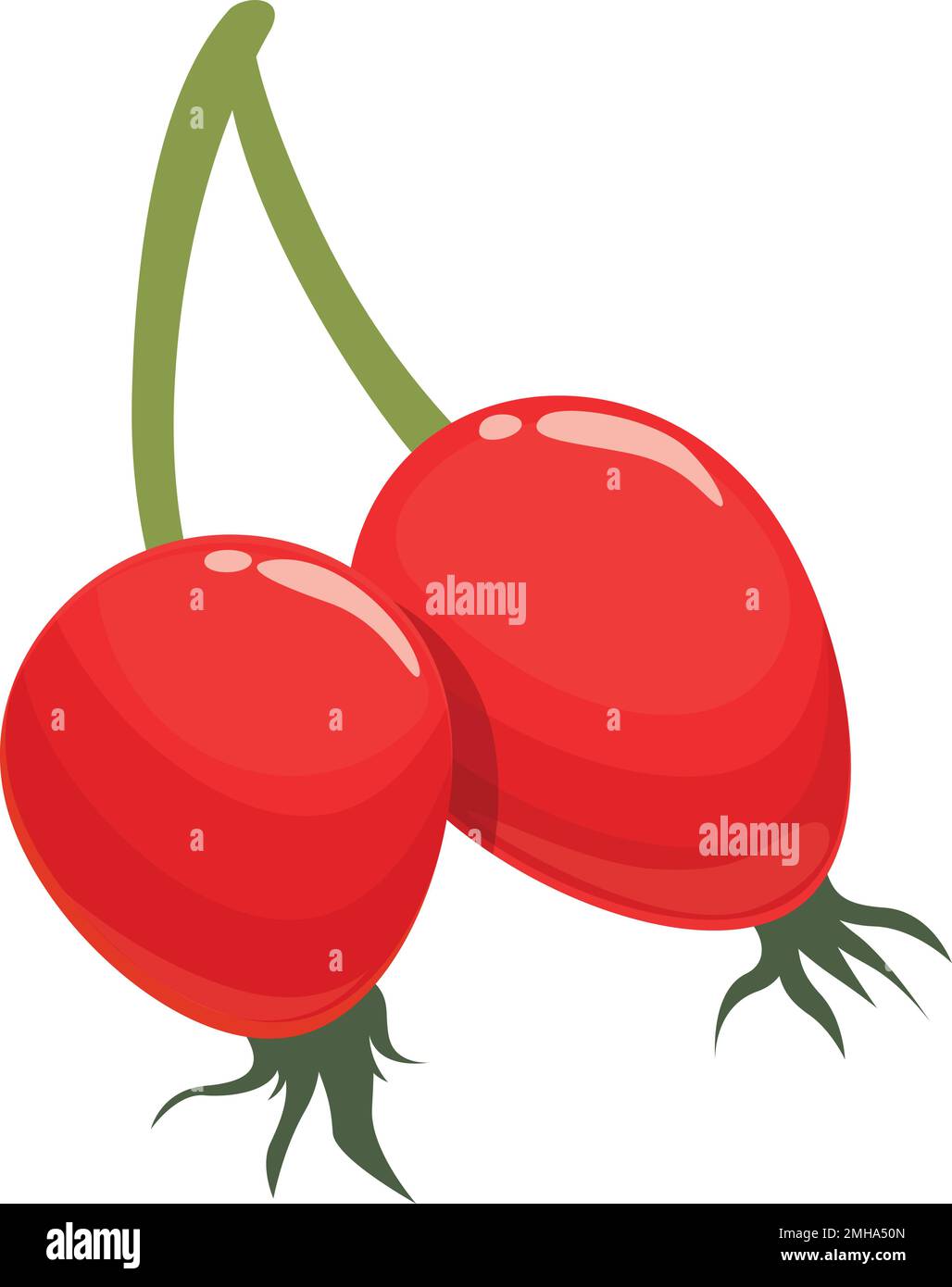 Autumn rosehip icon cartoon vector. Berry food. Forest fruit Stock ...