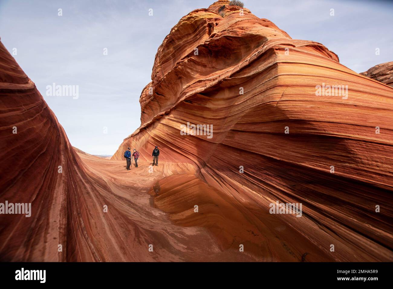 The Wave is a stunning geological formation in the Paria Canyon ...