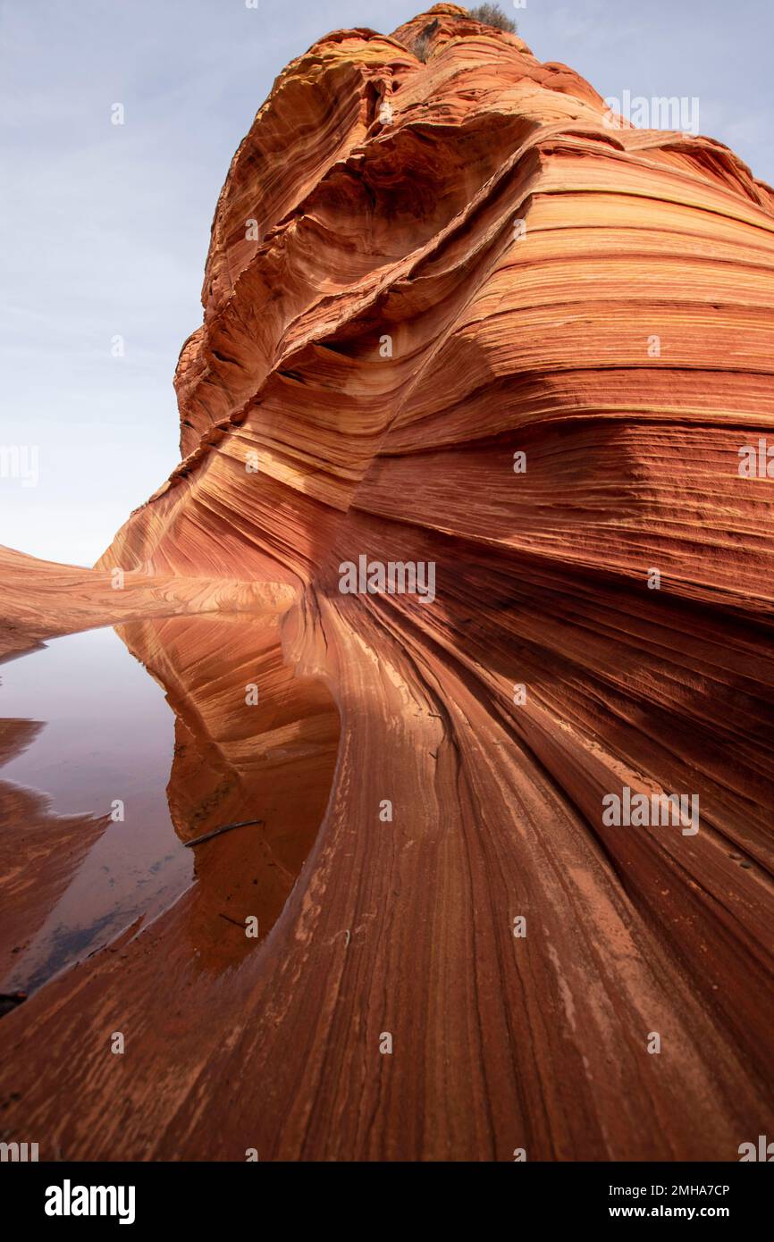 The Wave is a stunning geological formation in the Paria Canyon ...