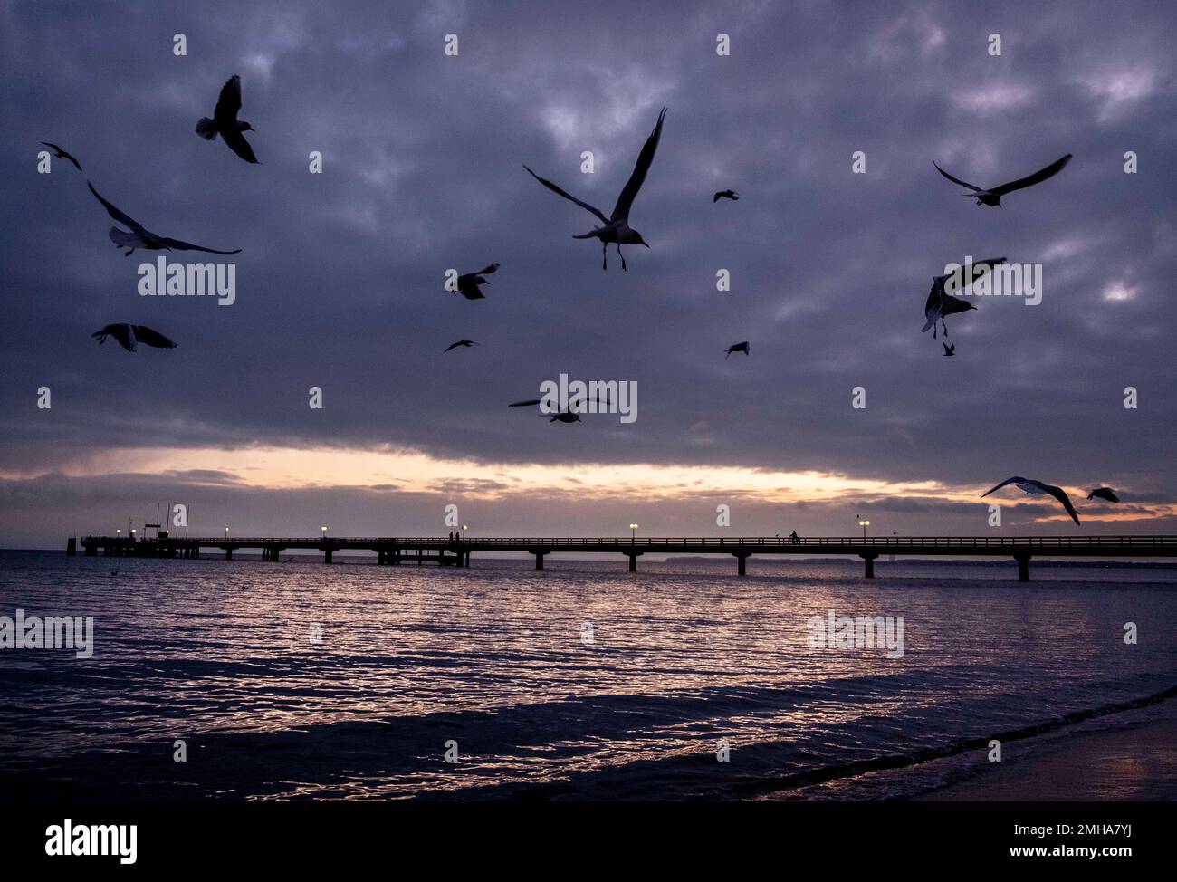 Seagulls fly over the pier in Scharbeutz at the Baltic Sea , Germany ...