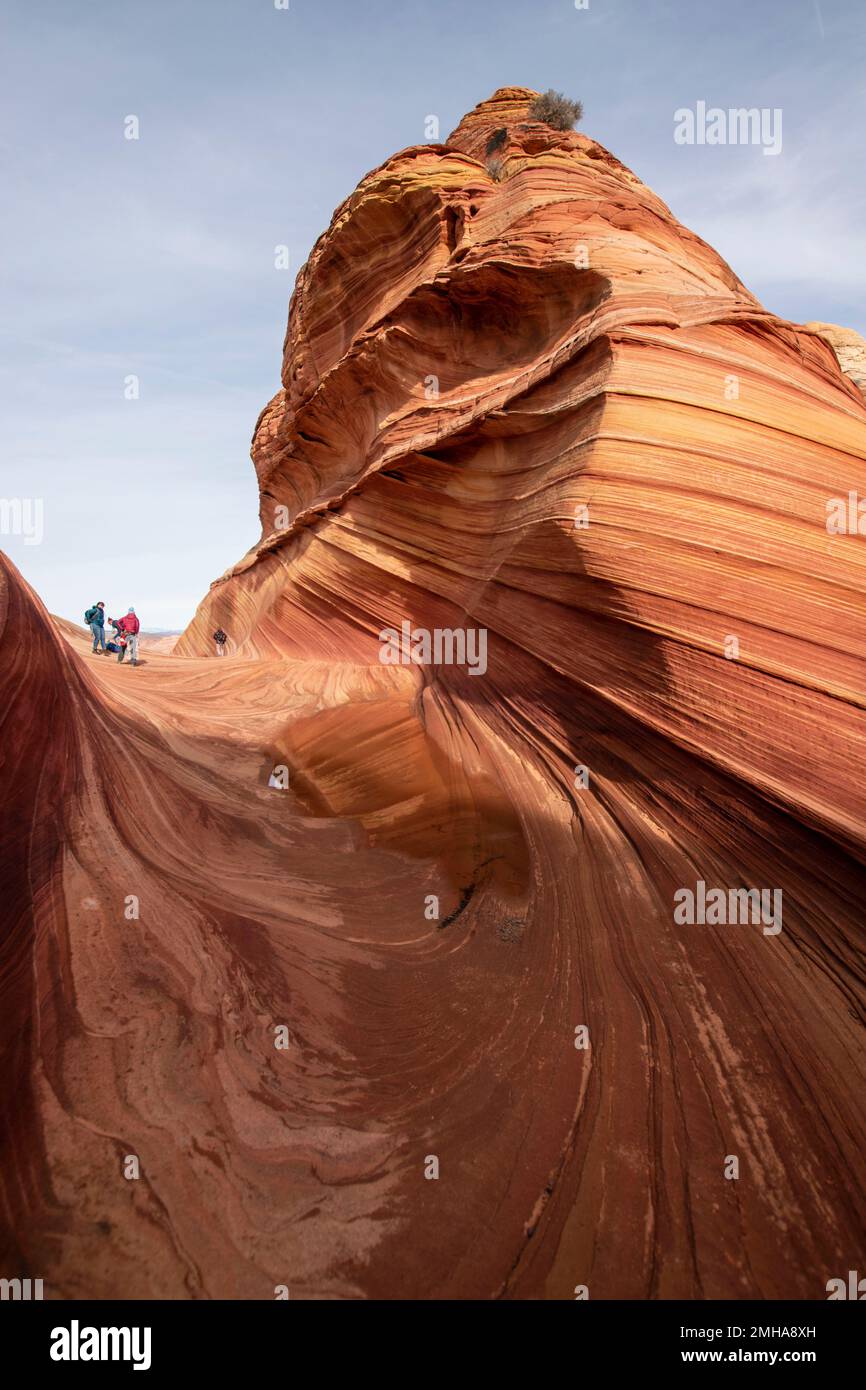 The Wave is a stunning geological formation in the Paria Canyon ...