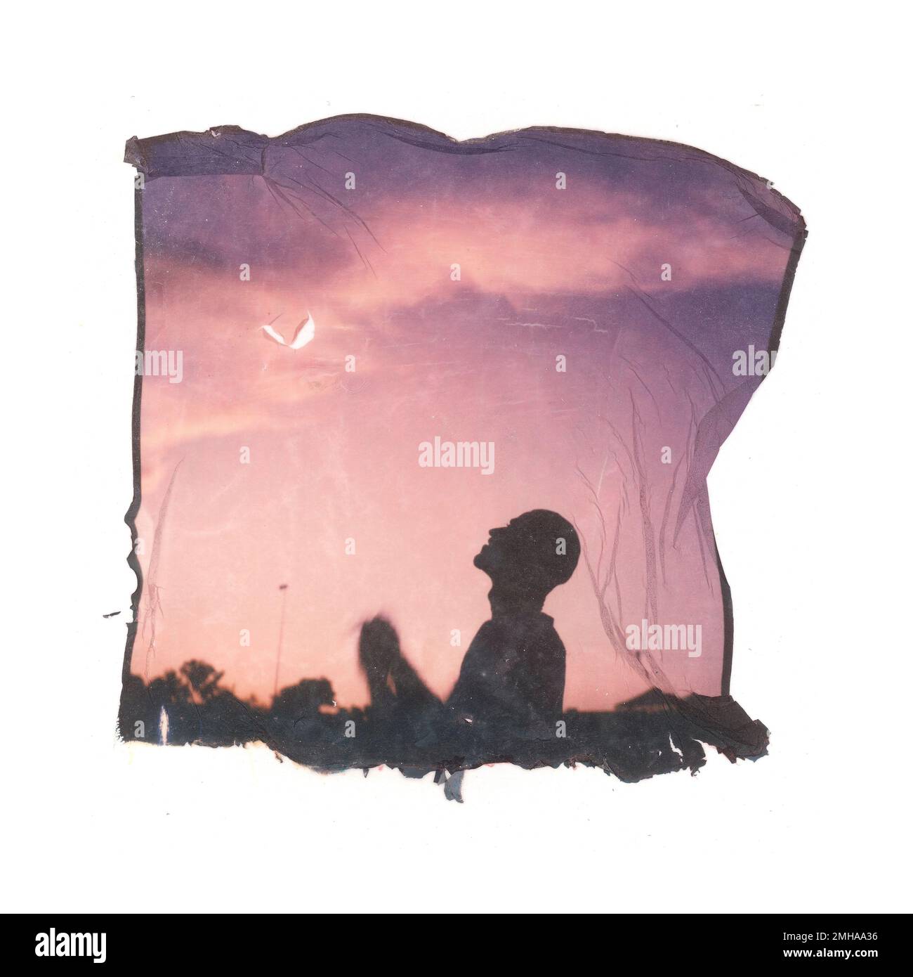 In this image made from a Polaroid emulsion transfer, Patrick Shepard ...