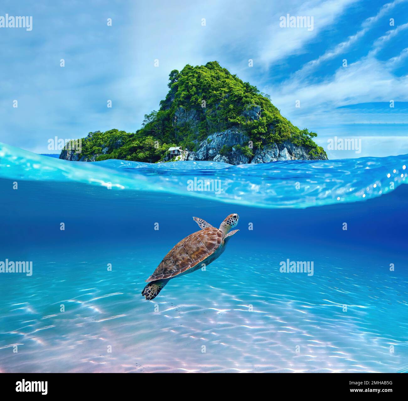 Digital art of a sea turtle swimming in the ocean, in front of a ...