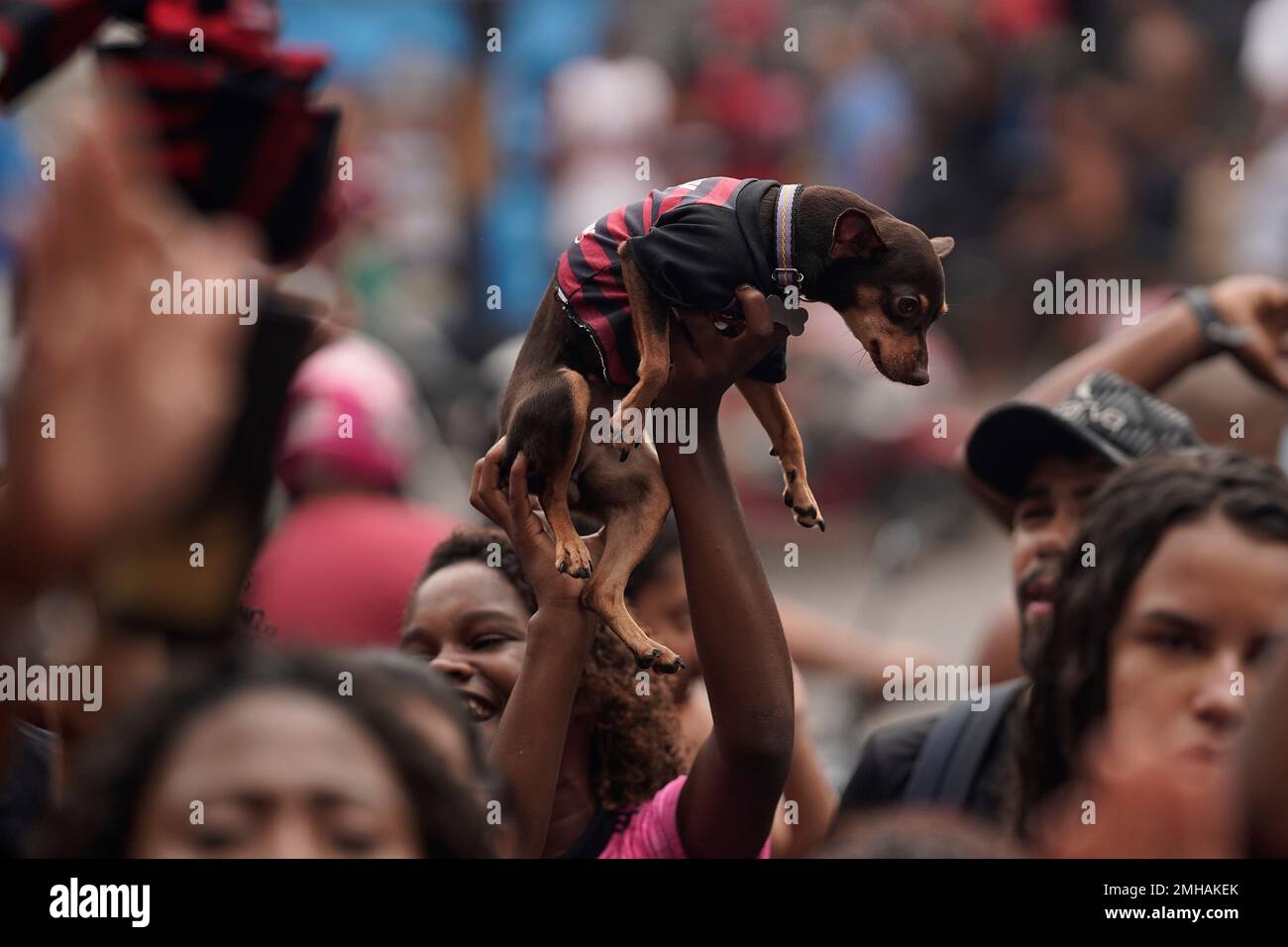 A fan of Brazil's Flamengo soccer team holds up her dog, wearing the ...