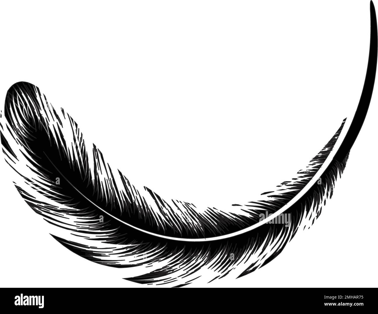 feather logo icon vektor illustration design Stock Vector Image & Art ...