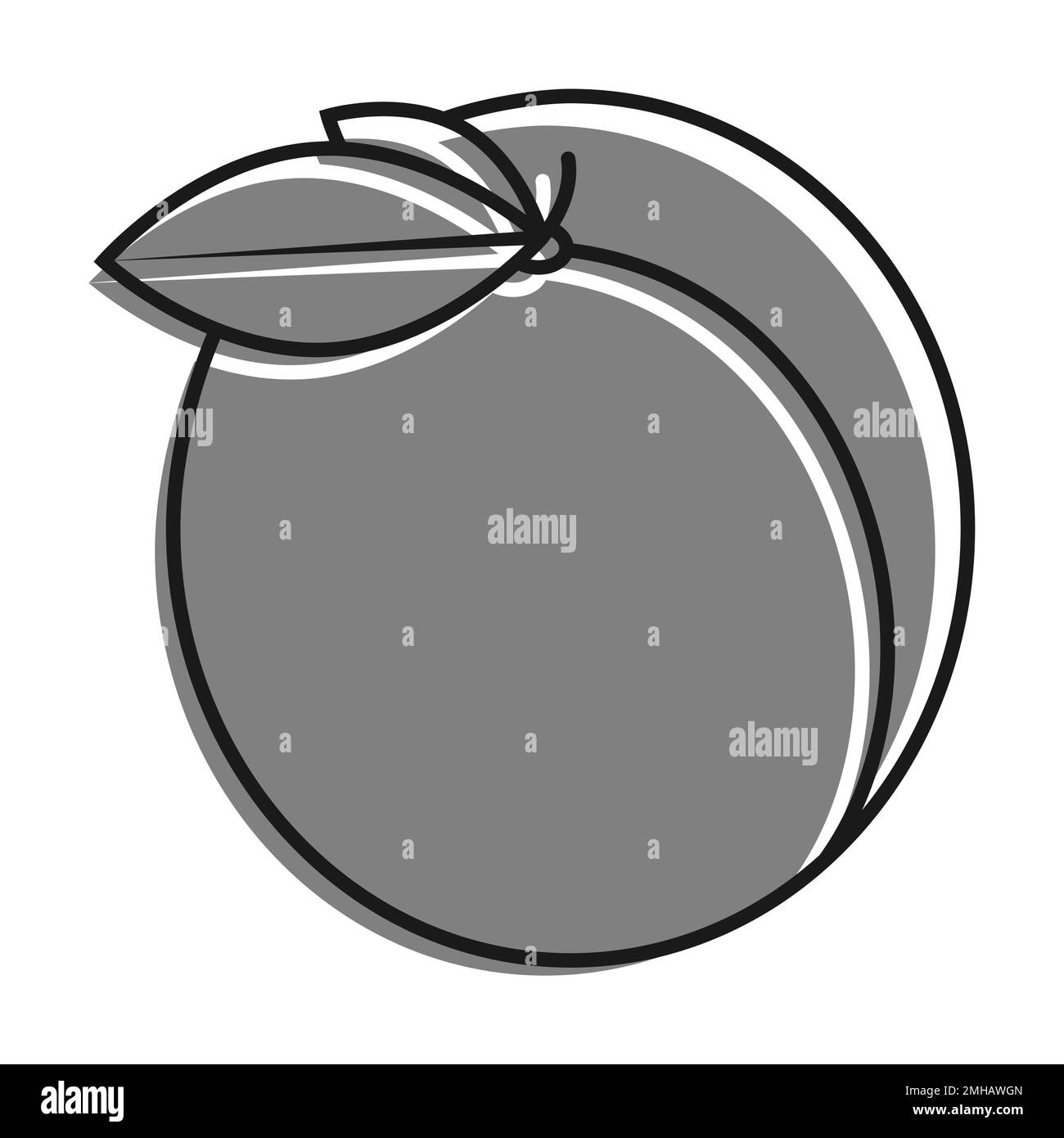 Linear filled with gray color icon Delicious Juicy Apricot With Leaves ...