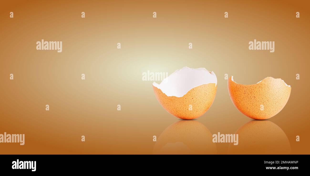 Egg shell isolated on white. Broken egg shell isolated on brown Stock Photo - Alamy