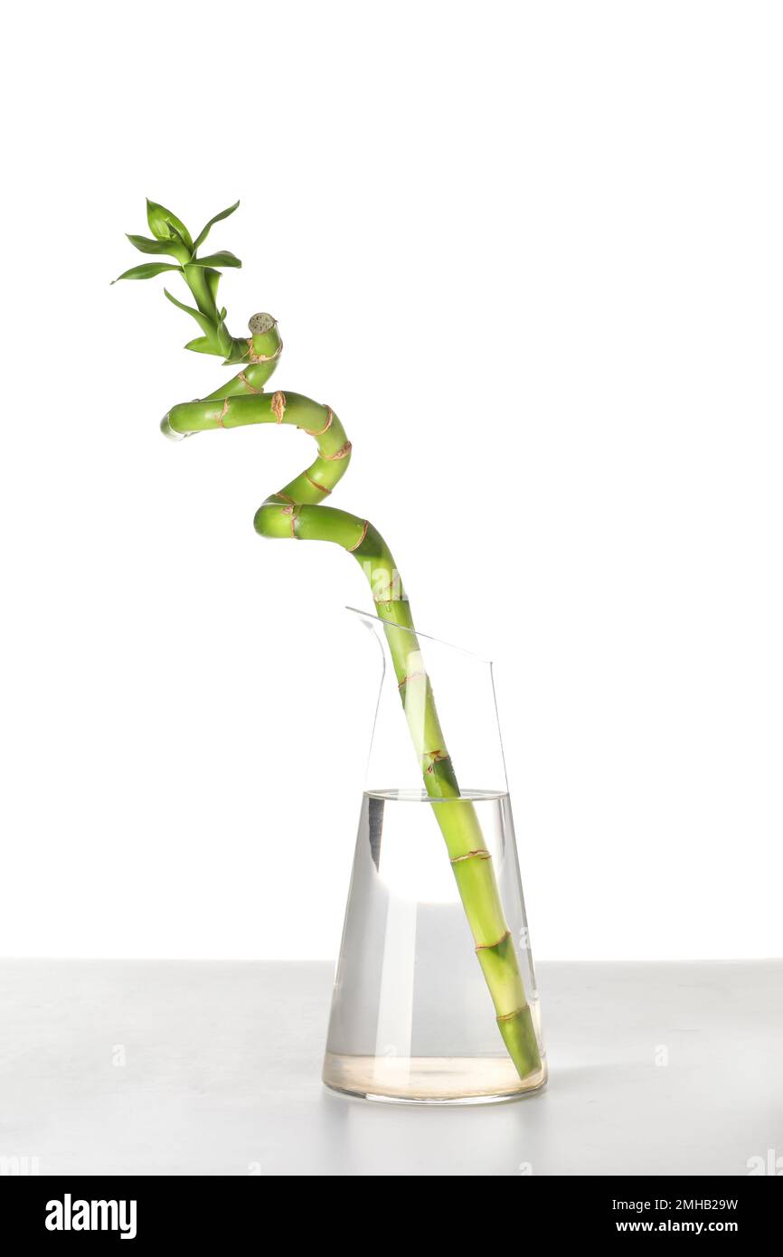 Vase with green bamboo branch on white background Stock Photo - Alamy