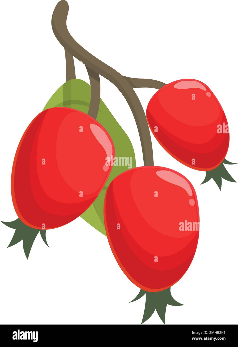 Vitamin rosehip icon cartoon vector. Berry food. Fruit red Stock Vector ...