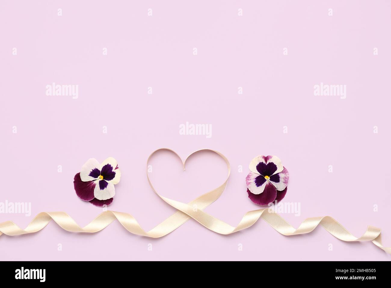 Violet flowers and heart made of white satin ribbon on pink background ...
