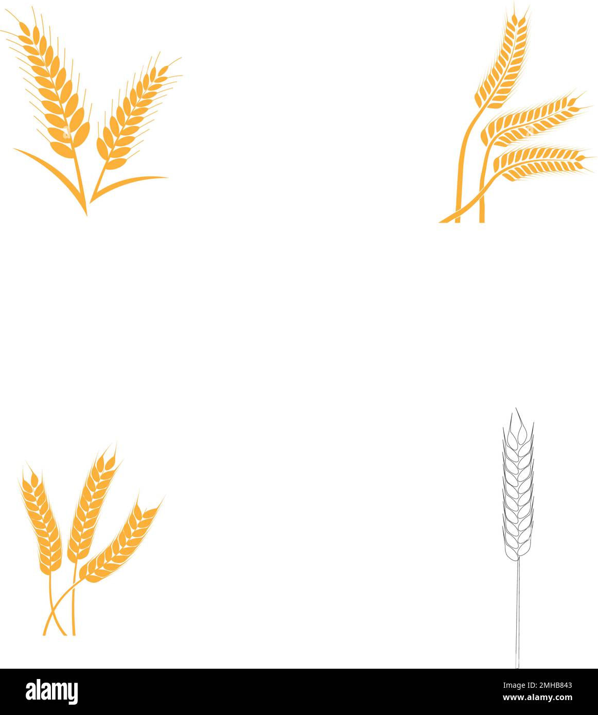 Agriculture wheat Logo Template vector icon design Stock Vector Image ...