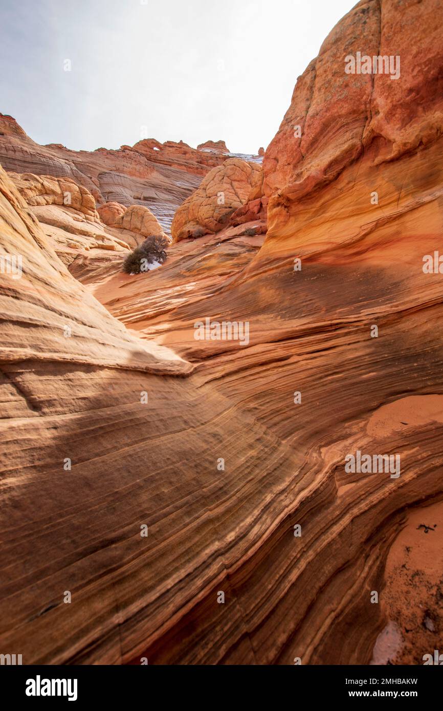 The Wave is a stunning geological formation in the Paria Canyon ...