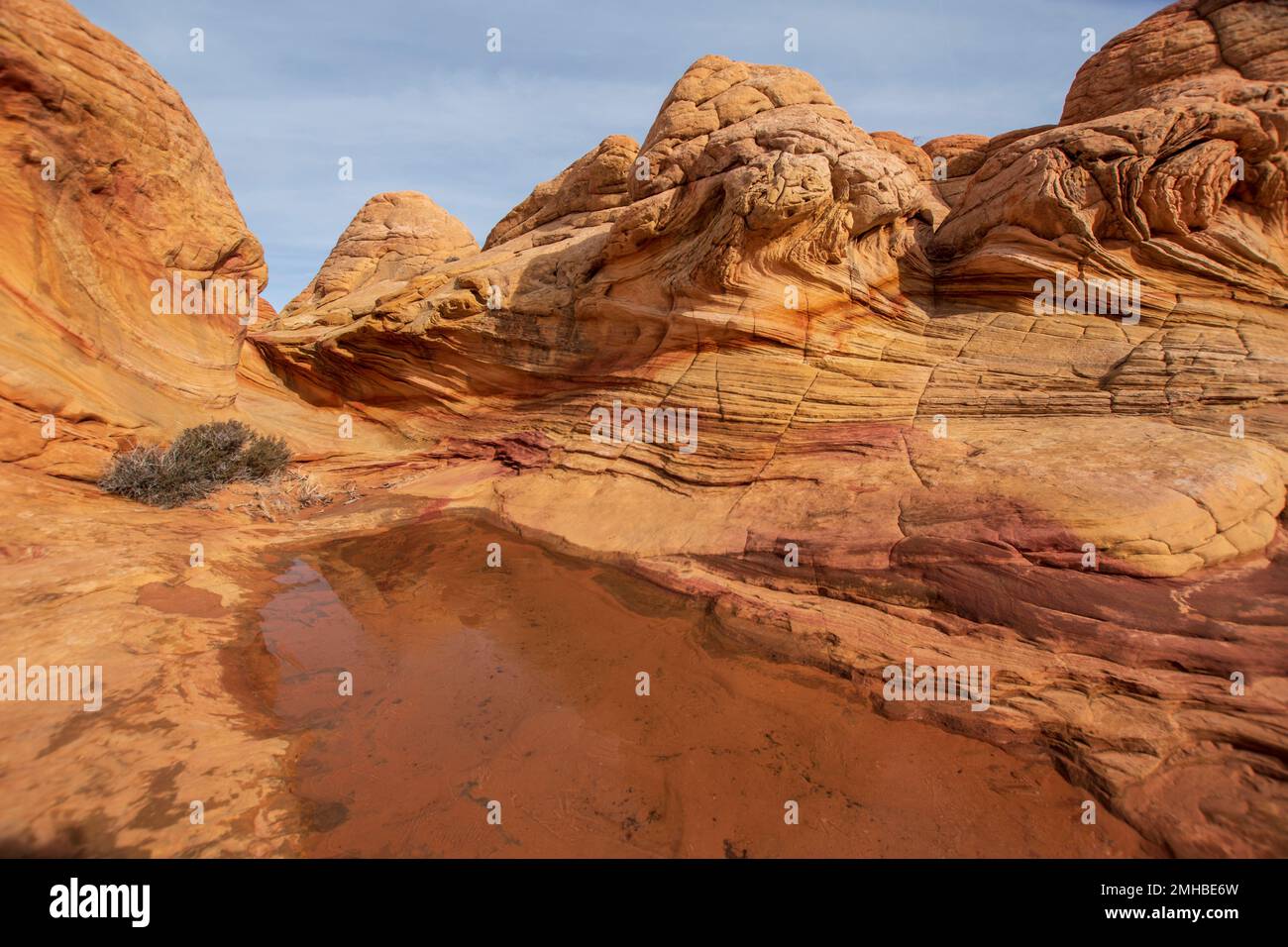 The Wave is a stunning geological formation in the Paria Canyon ...