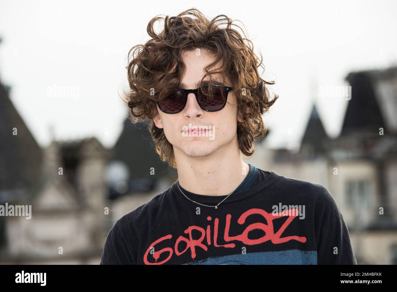 Actor Timothee Chalamet poses for photographers at the photo call of ...
