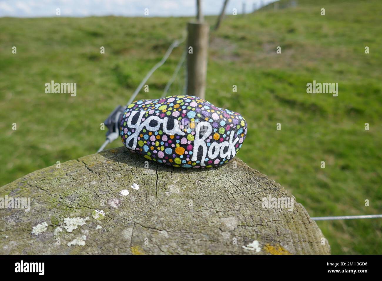 Encouraging kindness rock with you rock message on wooden fence post ...