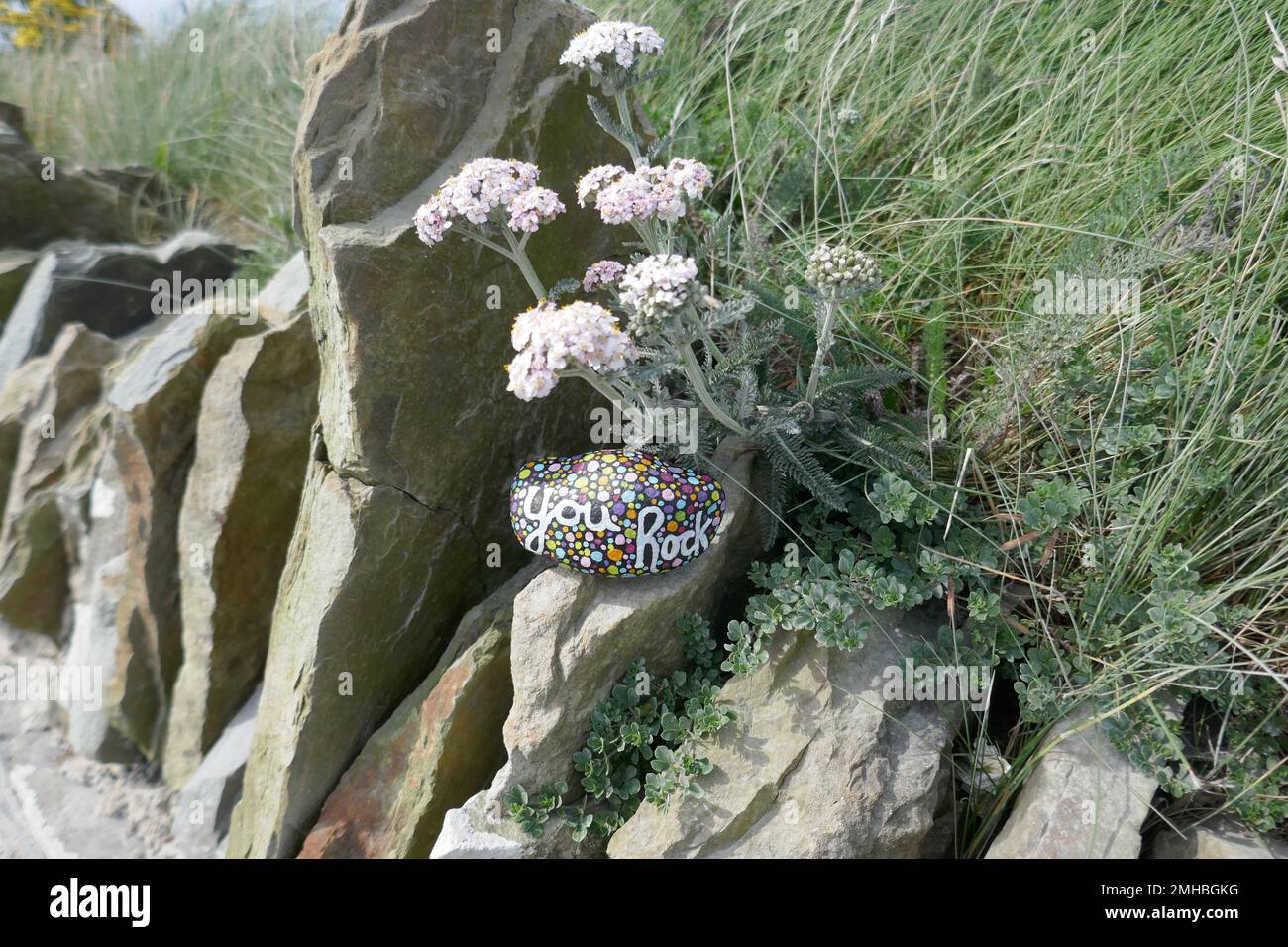 Kindness rock with encouraging message hidden in ancient stone wall ...