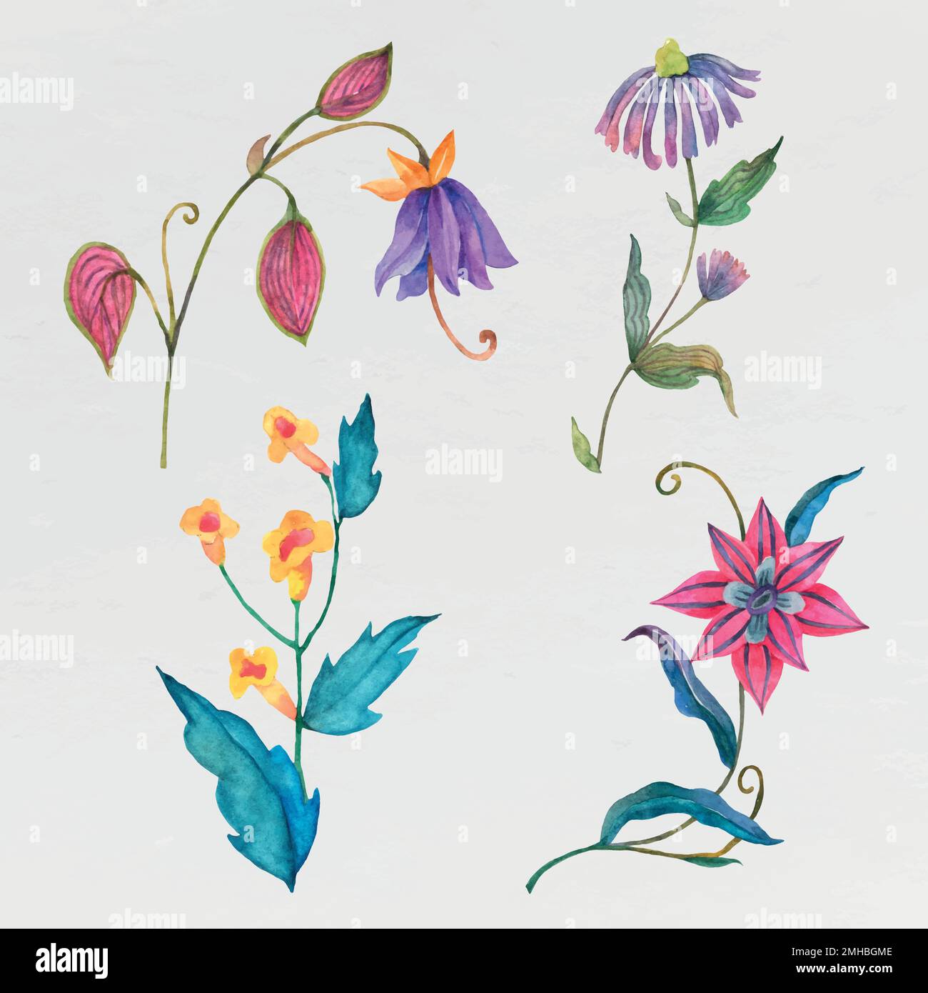 Colorful watercolor flowers vector set Stock Vector Image & Art - Alamy