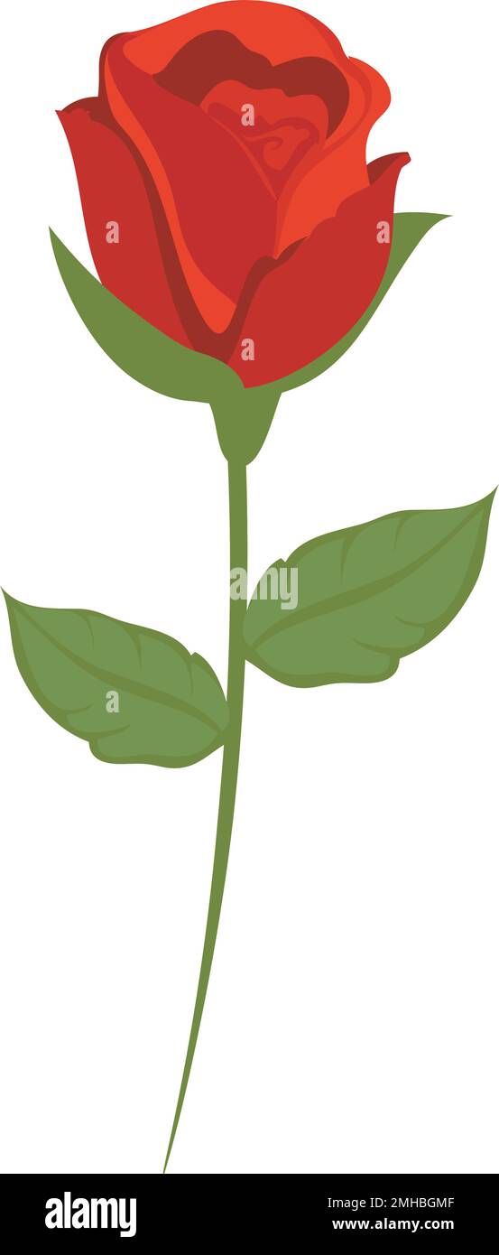 red rose design Stock Vector Image & Art - Alamy