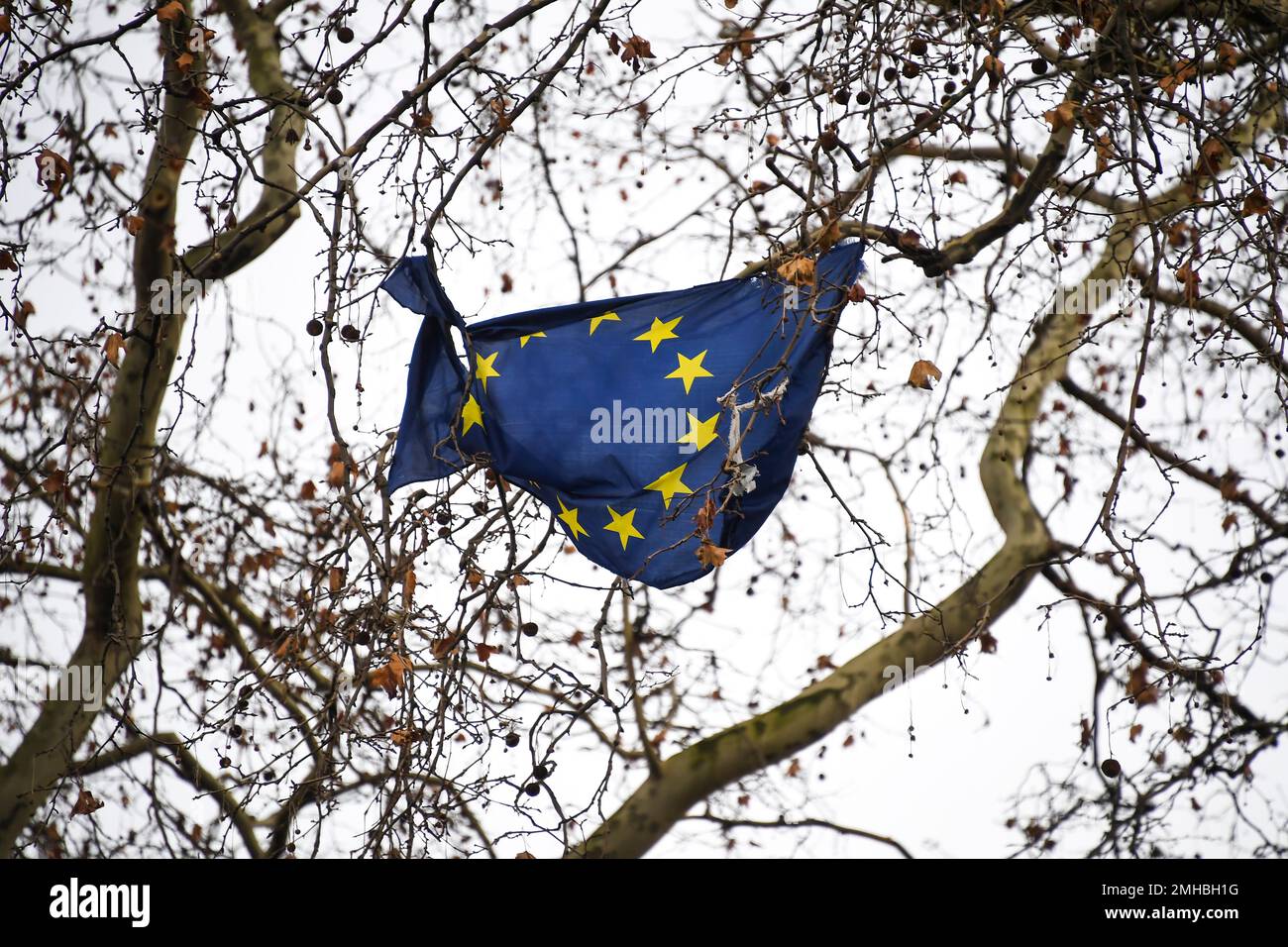 A European Union flag is stuck, tangled in a tree outside the houses of ...