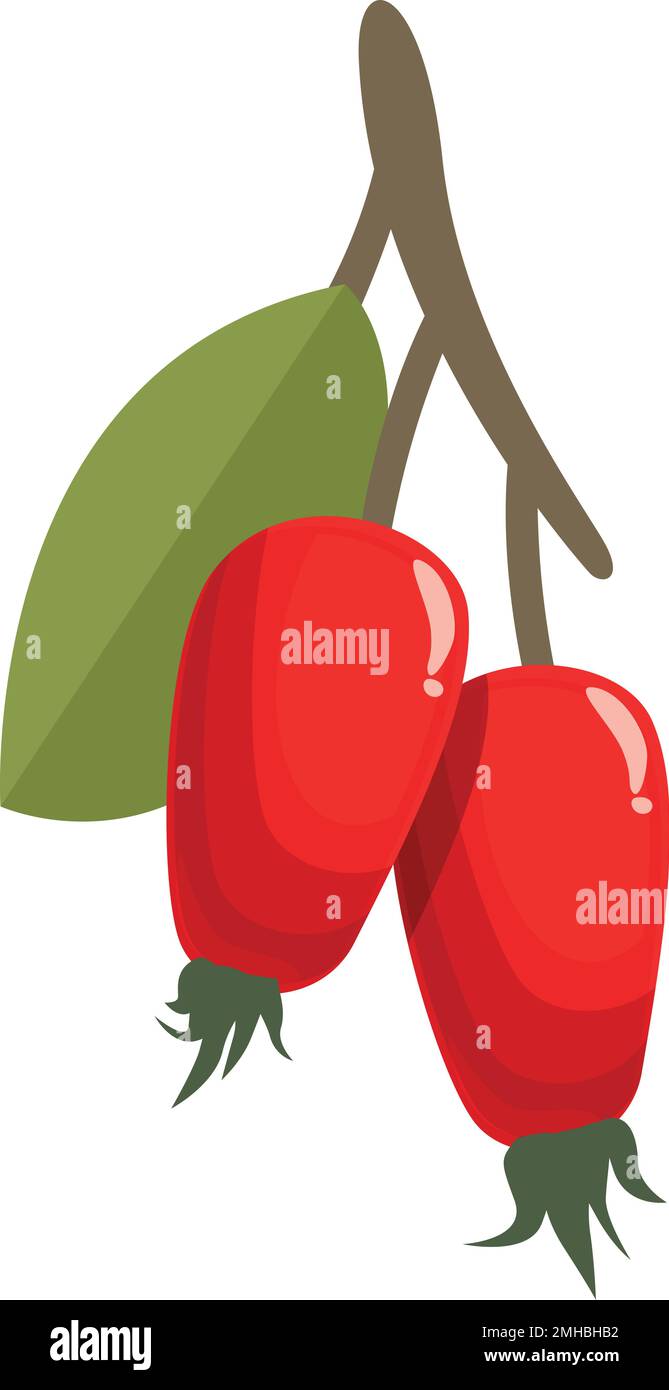 Fruit rosehip icon cartoon vector. Berry food. Ripe wild Stock Vector ...