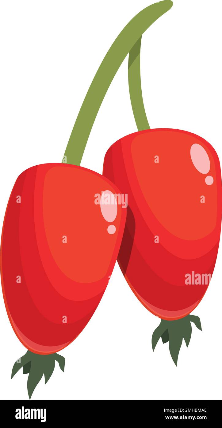 Plant rosehip icon cartoon vector. Forest food. Vitamin ripe Stock ...