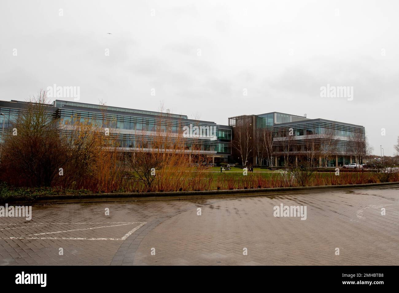 This Dec. 12, 2019, photo shows a sign at the Mundipharma International ...