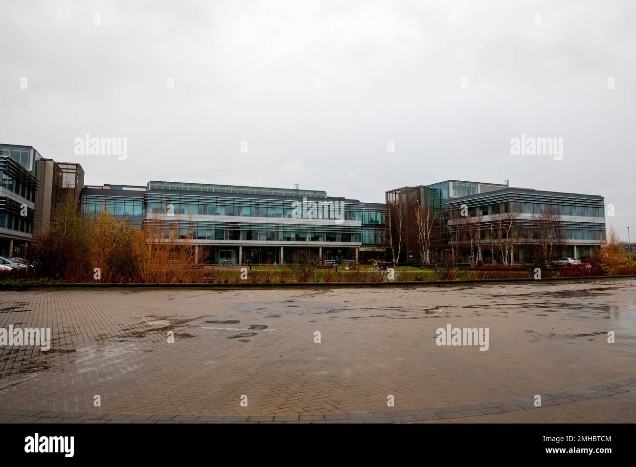This Dec. 12, 2019, photo shows a sign at the Mundipharma International ...