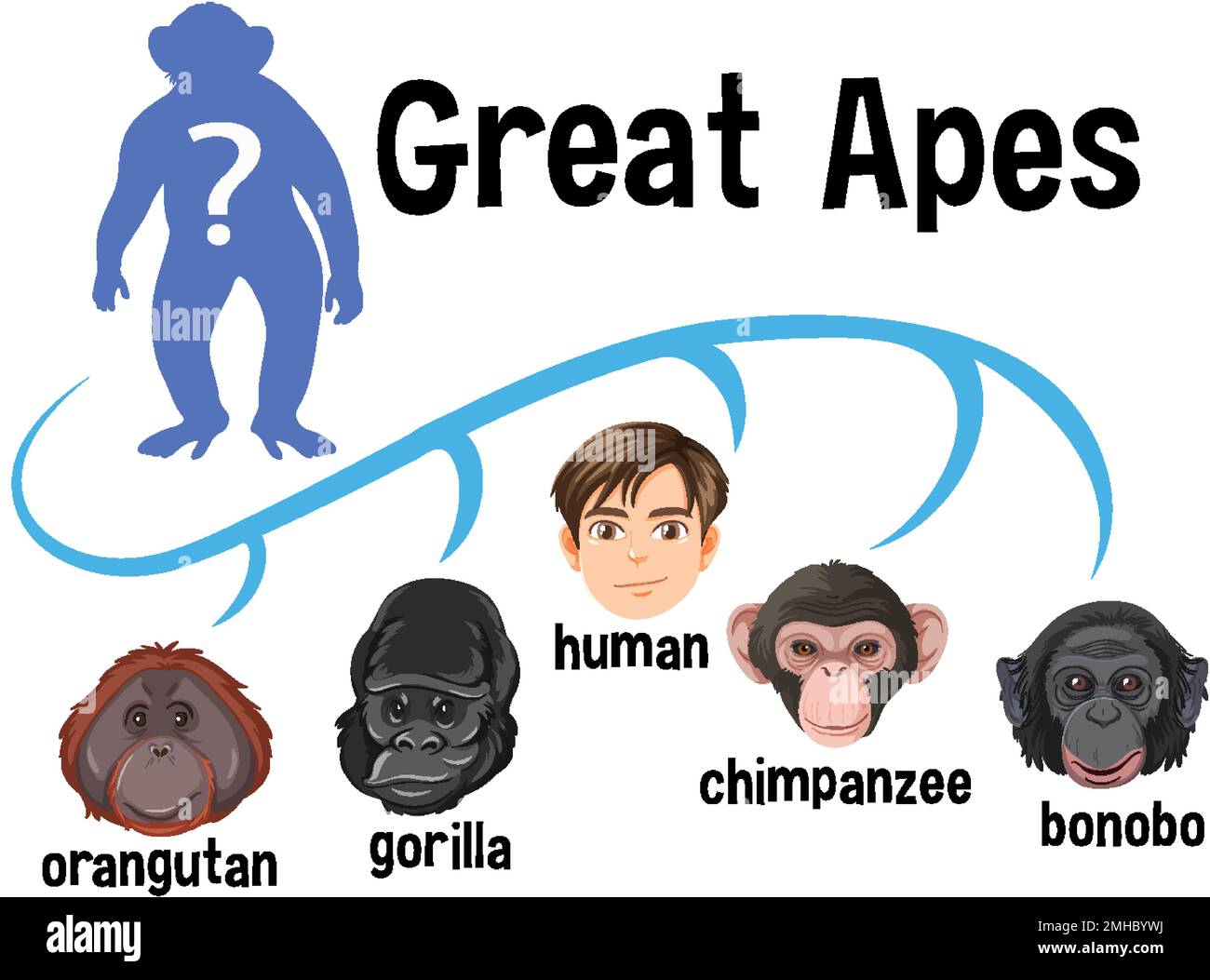 Five different species hi-res stock photography and images - Alamy