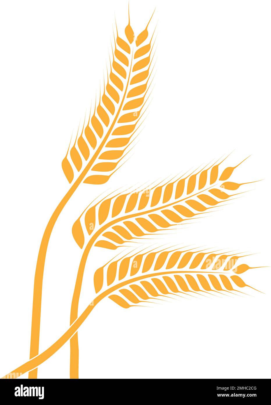 Agriculture wheat Logo Template vector icon design Stock Vector Image ...