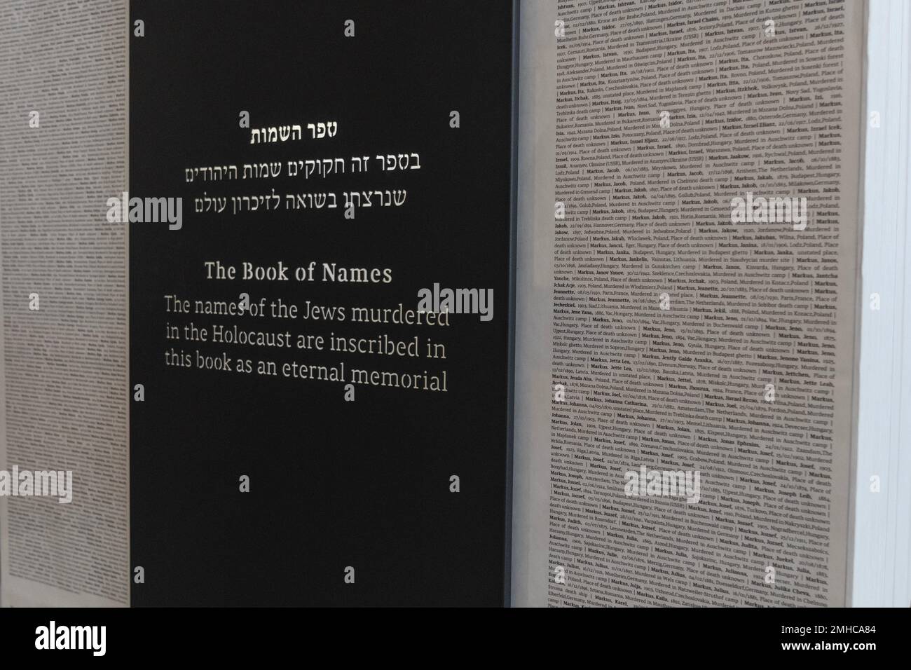 The Yad Vashem Book of Names of Holocaust Victims on display at opening ...